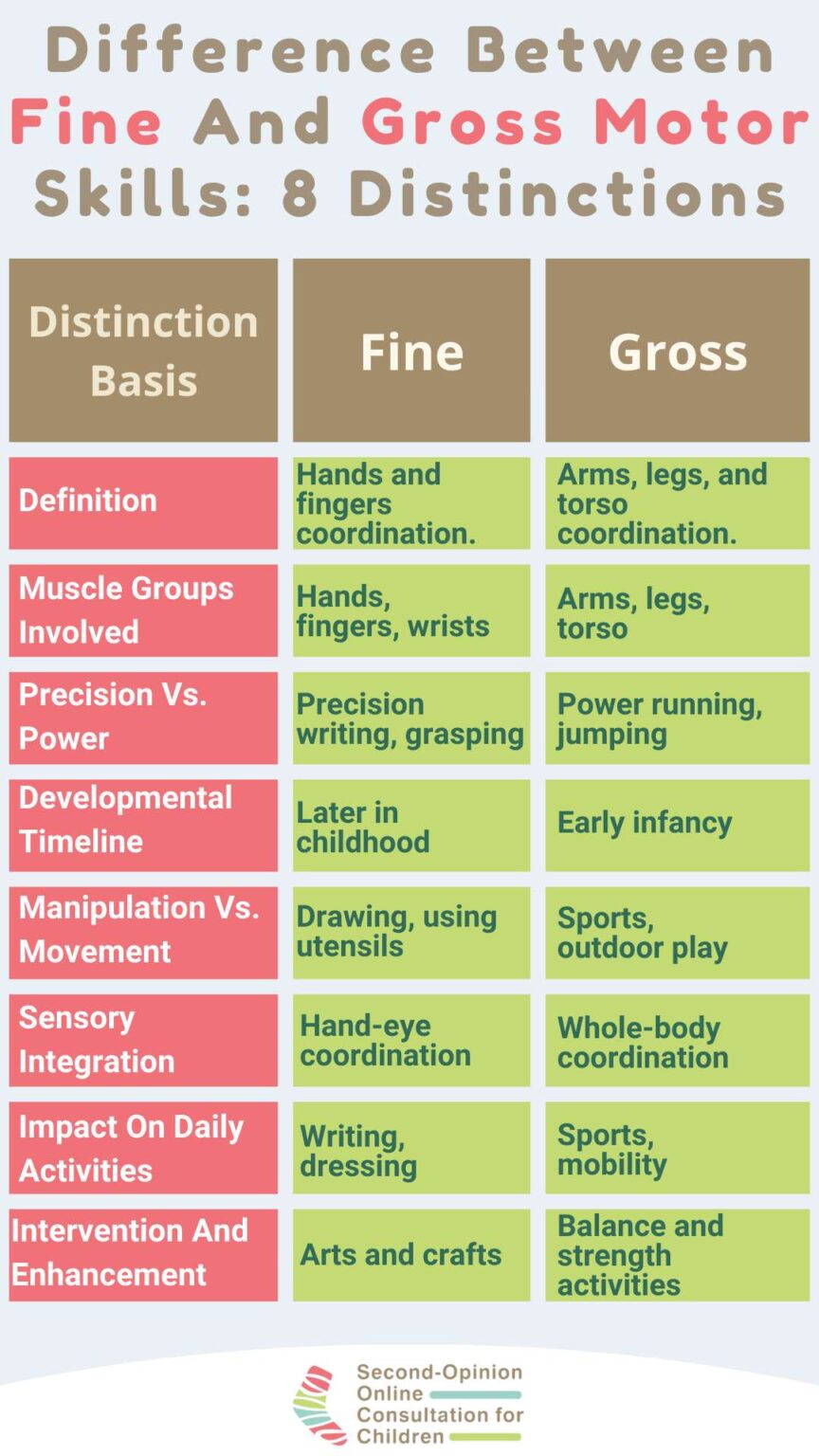 Difference Between Fine And Gross Motor Skills: 8 Key Points
